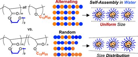 Self Assembly Of Amphiphilic Alternating Copolymers By Chain Folding In Water From Uniform