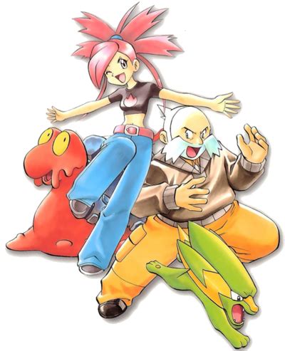 Flannery Bulbapedia The Community Driven Pokémon Encyclopedia