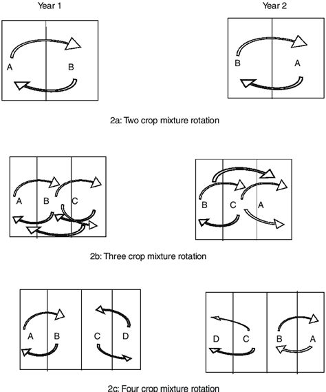 A C Rotation Of Crop Mixtures Within A Plot Under The Rubber Based Download Scientific Diagram