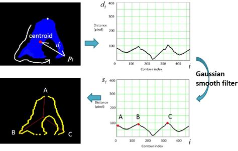 Process Flow Of Star Skeleton Computation Download Scientific Diagram