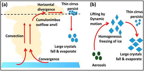 Schematic Illustration Of The Formation Of Cirrus Clouds By Two Download Scientific Diagram