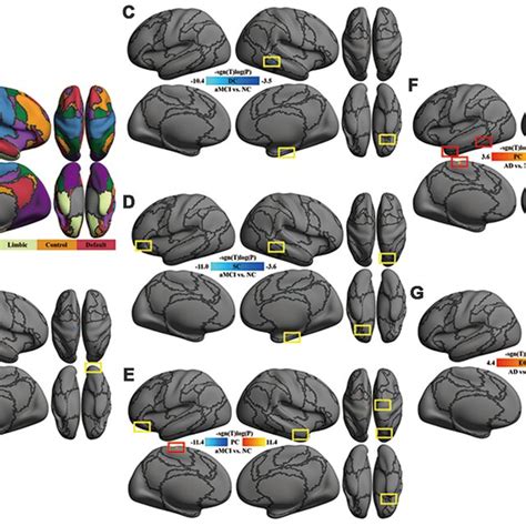 Post Hoc Cluster Level Analyses In The Right Frontoparietal Control