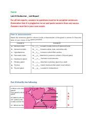 Lab Endocrine System Lab Report Submission GVazquez Docx Name Lab Endocrine Lab Report