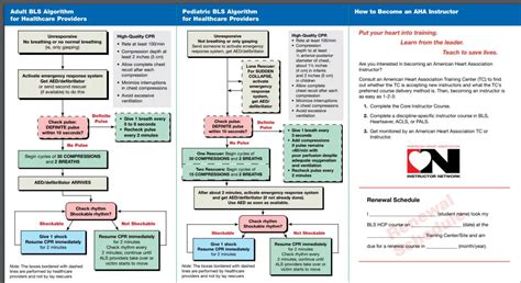 American Heart Association Bls Exam C Answer Key