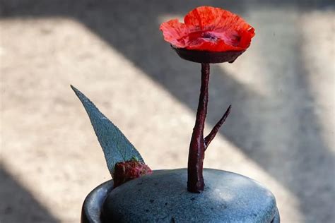 Boragó Laboratorio Vivo Que Experimenta Y Transforma Los Productos