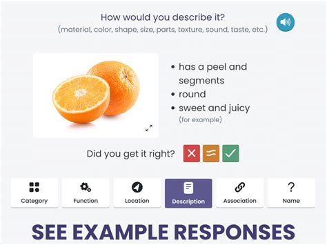 Semantic Feature Analysis Sfa For Anomia In Aphasia How To Guide