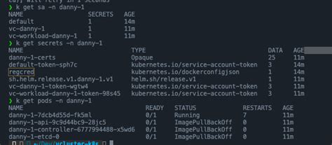 Vcluster Imagepullsecrets Not Working Issue Loft Sh Vcluster Github