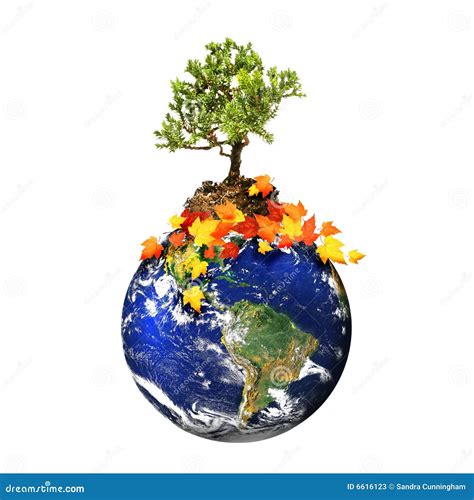 Earth With A Tree Isolated Over A White Background Stock Illustration Illustration Of