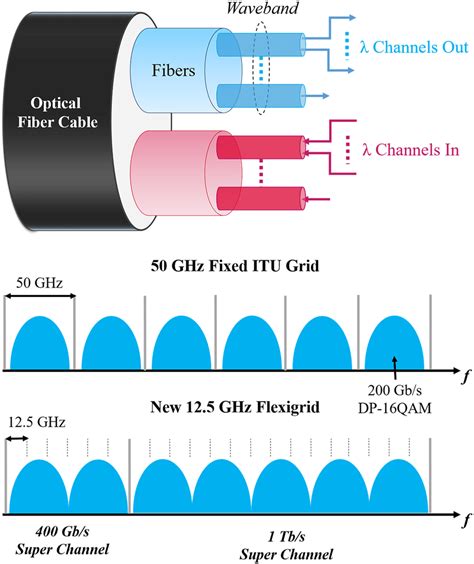 Division Of Fiber Resource And Flexigrid In Elastic Optical Network