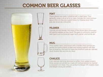 Beer Glass Buying Guide Types Shapes Sizes Explained 46 Off
