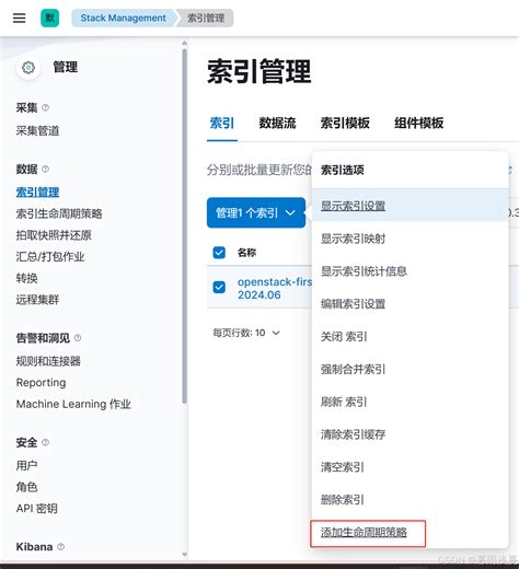 Elastic Search（五）：索引生命周期管理 Ilmelasticsearch Ilm Csdn博客