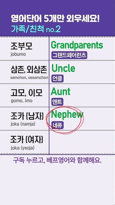 가족 영어단어 모음 가족 친척 사촌 시어머니 며느리 고모 이모 삼촌 조카 새엄마 새아빠 이복형제 아들 딸 형 누나 남동생 손자 손녀