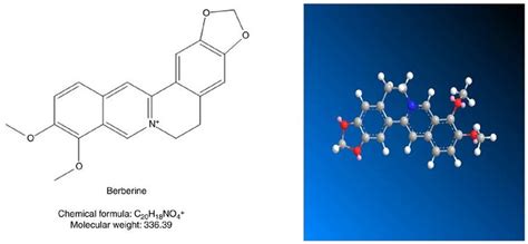 Structure Of Berberine Chemical Structure Of Berberine Left And Download Scientific Diagram
