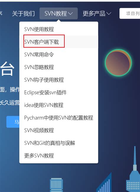 Svn基础教程（够用）svn撤销本地修改 Csdn博客