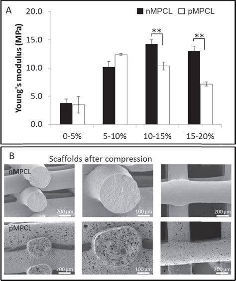 Intra Strut Microscale Pores Reduced Compression Youngs Modulus Of Download Scientific Diagram