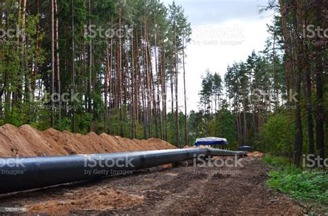 천연 가스 파이프 라인 건설 작업 산업 용 가스 및 오일 파이프의 설치 및 설치를위한 땅에 파고 트렌치 가솔린에 대한 스톡 사진 및 기타 이미지 Istock