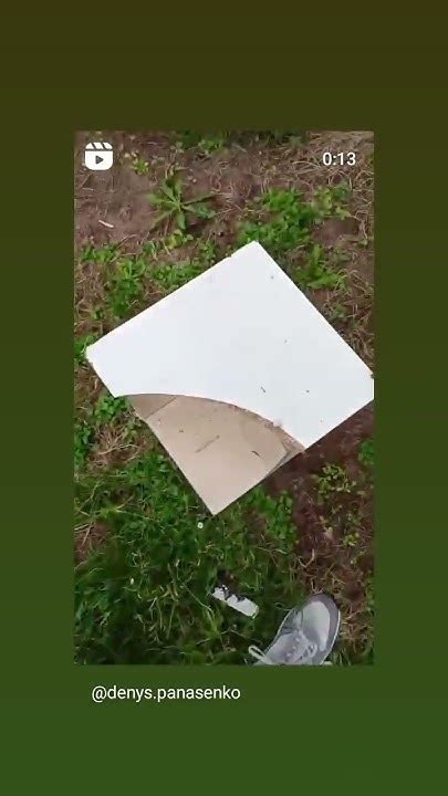 🇺🇦 Sport норм физик культ поделу критерию основ задачи 100 Sex Sport Армия Солдат