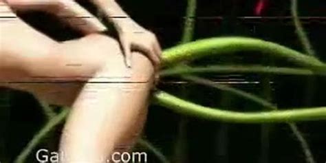 D Flower Sex Tnaflix Com