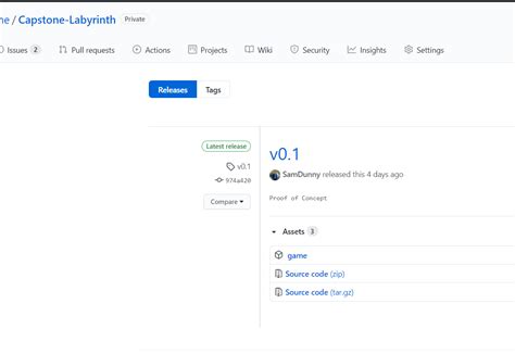 How To Run Your App Urgent · Issue 64 · Sccapstonecapstone Labyrinth