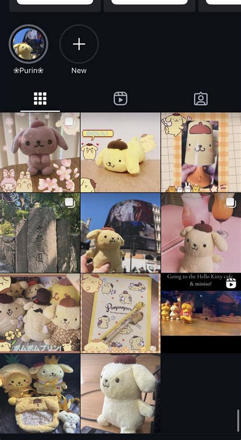 Ragghhh I Love Pompompurin So Much I Have A Whole Instagram Account For