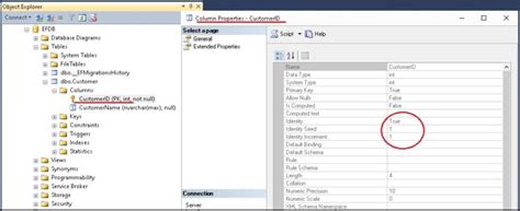 Data Annotations Key Attribute In Ef Core Tektutorialshub