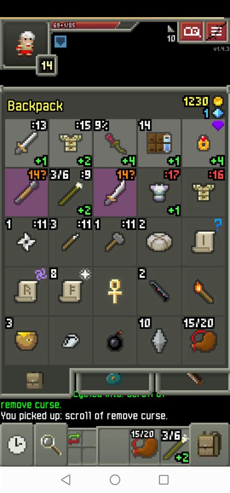 Which Subclass Never Been This High With Mage First Time Rpixeldungeon