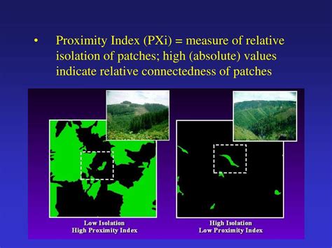 Ppt Why Quantify Landscape Pattern Powerpoint Presentation Free Download Id4078490