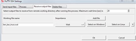 Solver Execution On A Remote Computer Using PuTTY