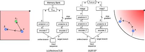 Hyperbolic Self Paced Learning For Self Supervised Skeleton Based Action Representations