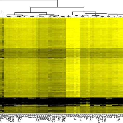 A Heatmap With Hierarchical Cluster Trees Of Transcripts Accumulation Download Scientific