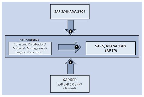 An Overview Of Transportation Management Systems In Sap