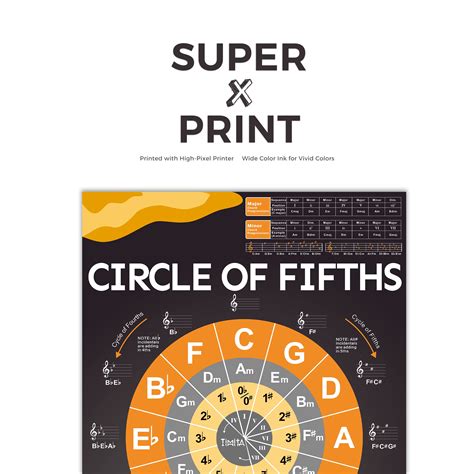 Buy Circle Of Fifths Poster Chart For Guitar Keyboard Piano The Chord