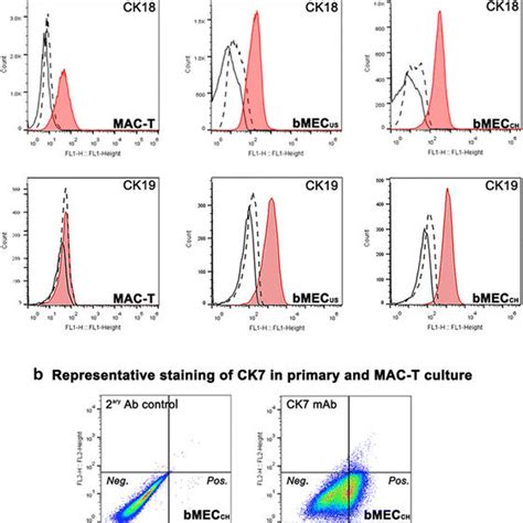 Flow Cytometry Analysis Of Selected Markers Of Mesenchymal Like Cells Download Scientific