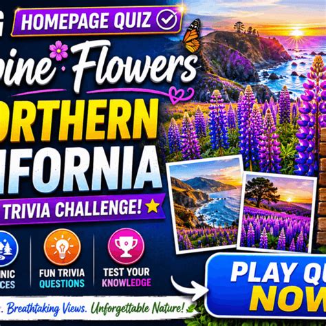 Alaska Quiz Test Your Geography Knowledge