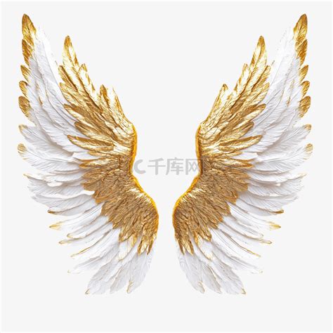 白色和金色的天使翅膀装饰元素素材图片免费下载 千库网 白色和金色的天使翅膀装饰元素素材图片免费下载 千库网