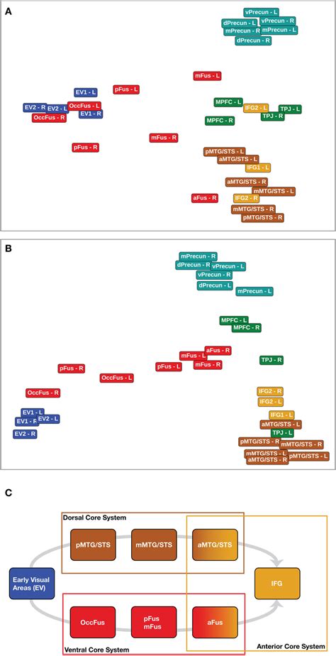 Similarity Of Neural Representations In Rois Derived From Familiarity