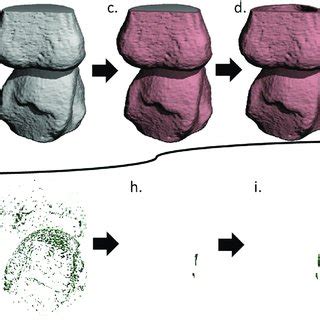 Representation Of The Steps Executed By The Algorithm Representation Download Scientific
