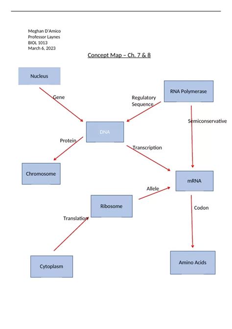 Chapter Concept Map Assignment BIOL Stuvia US