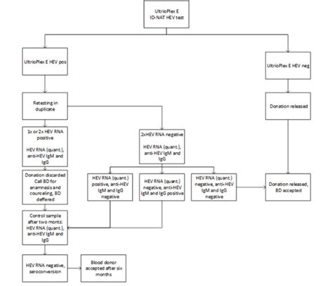 Id Nat Hev Screening Algorithm Using The Procleix Ultrioplex E Assay In