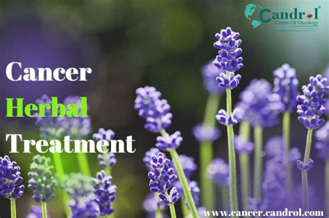 Best Oral Cancer Specialist In India Candrol Centre Of Onclogy