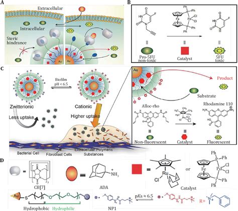 Figure 1 From Nanozymes With Bioorthogonal Reaction For Intelligence Nanorobots Semantic Scholar