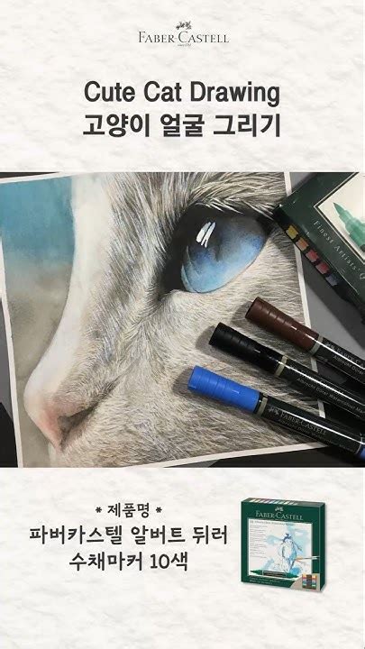 파버카스텔 알버트 뒤러 수채마커로 고양이 드로잉 하기 Shorts Youtube