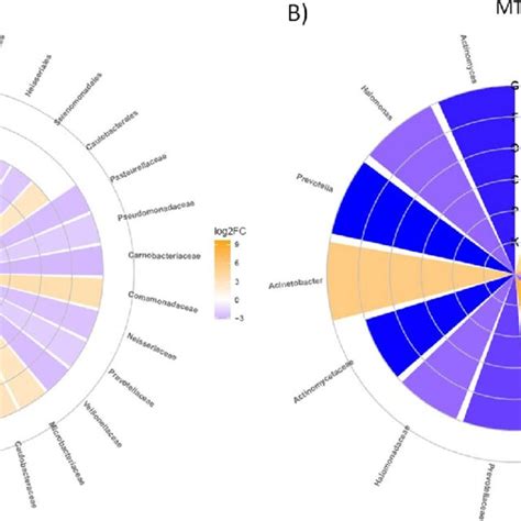 Circular Heatmaps Of Differentially Abundant Taxa A The Differentially