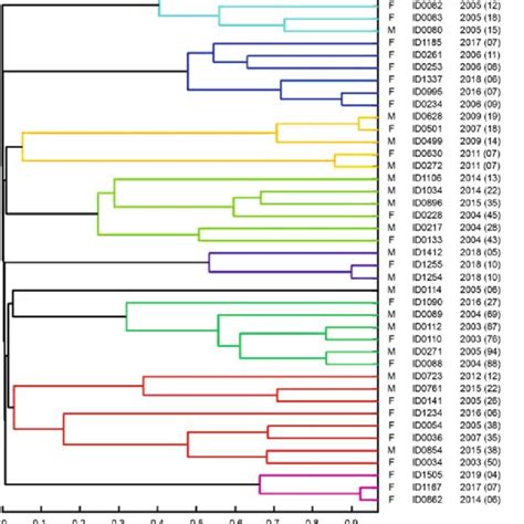 5 Dendrogram Constructed Using Average Weight Linkage Hierarchical Download Scientific Diagram
