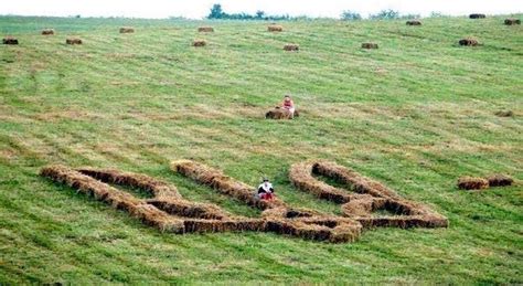 О причинно следственных связях Пока на Украине воруют и уничтожают Запад перешёл на секонд