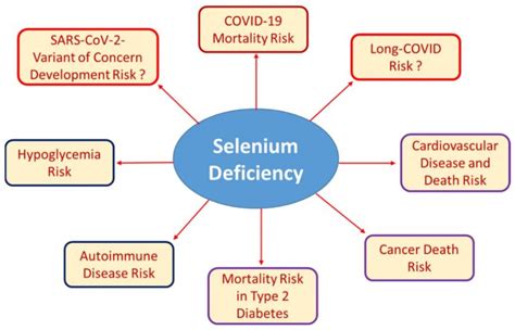 Selenium Deficiency Medicinal Herbs Study Center Selenium Deficiency Medicinal Herbs Study Center