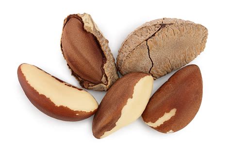 잘라내고 전체 깊이의 필드가 있는 흰색 배경에 격리된 너트의 브라질 너트 맨 위 보기입니다 플랫 레이 브라질 견과류에 대한 스톡 사진 및 기타 이미지 Istock