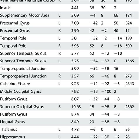 Tpj Temporoparietal Junction Sts Superior Temporal Sulcus Mfg