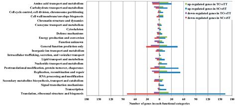 Rna Seq Transcriptome Analysis Of Maize Inbred Carrying Nicosulfuron Tolerant And Nicosulfuron