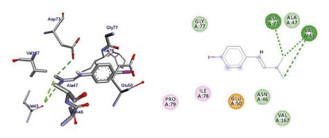 The Binding Interactions Of 21 Against E Coli Dna Gyrase A Pdb Id